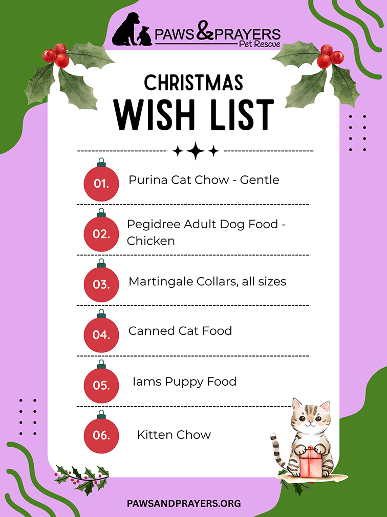 Pink And White Cute Playful Christmas Wishlist Poster - Paws and Prayers